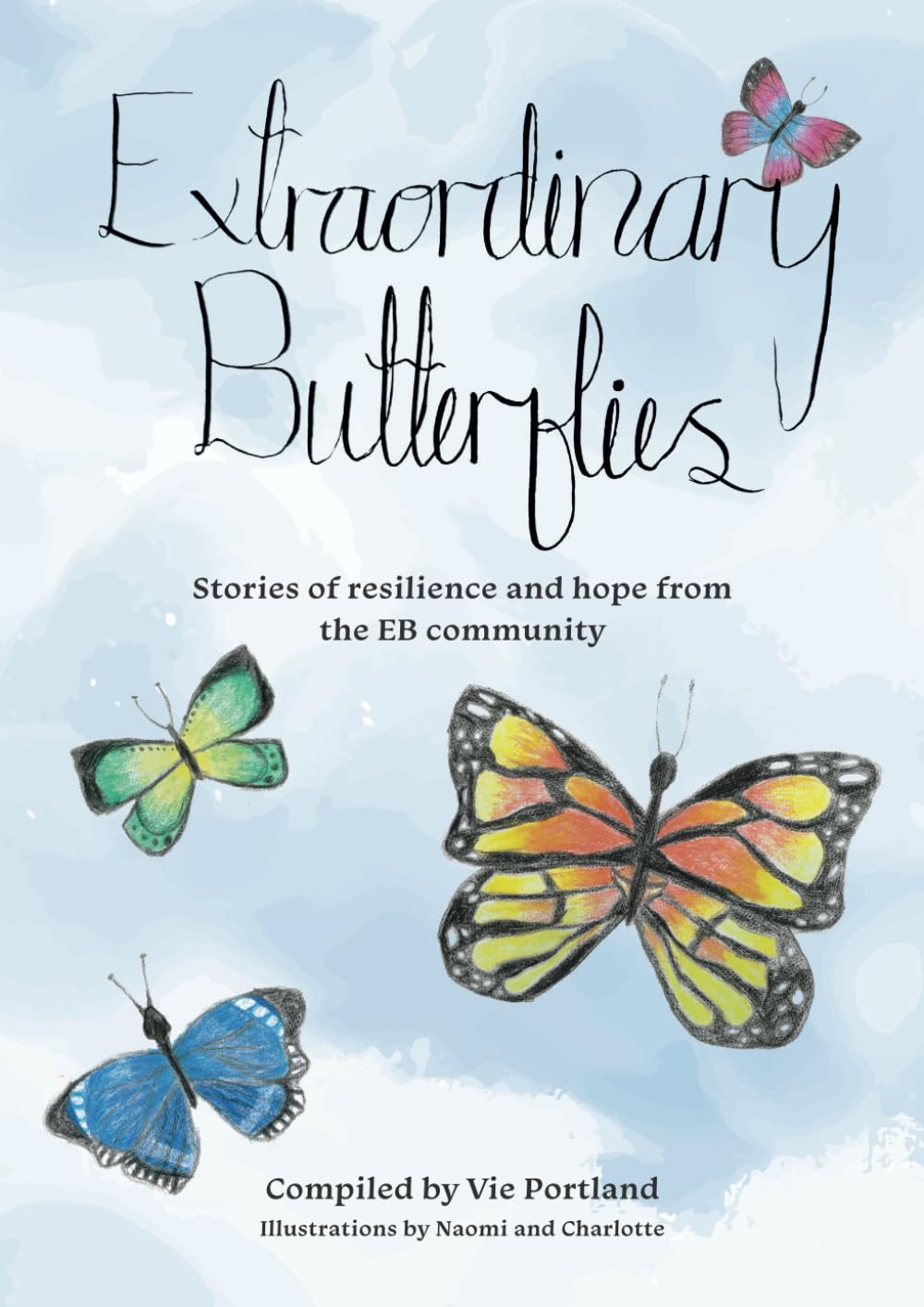 Extraordinary Butterflies: Stories of resilience and hope from the EB ...