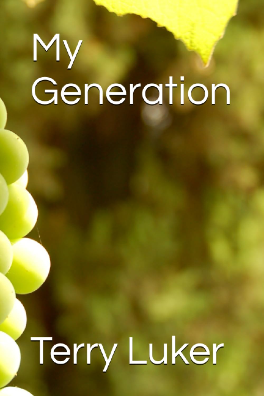 Amazon.com: My Generation: 9798589083330: Luker, Terry R: Books