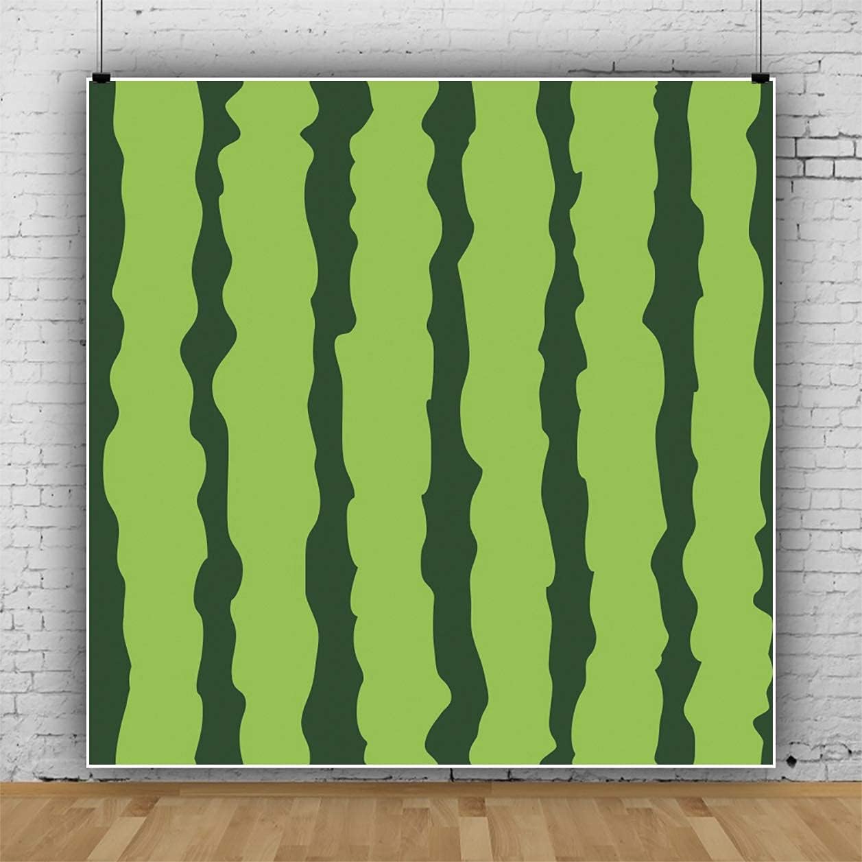Amazon.com : AOFOTO 6x6ft Green Watermelon Rind Backdrop Summer Fruit ...
