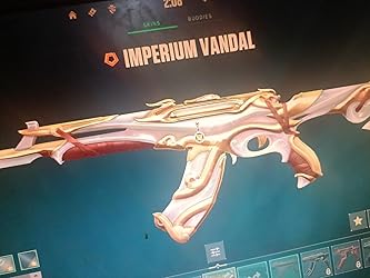 Valorant Points (Riot Cash $25) : Amazon.in: Video Games