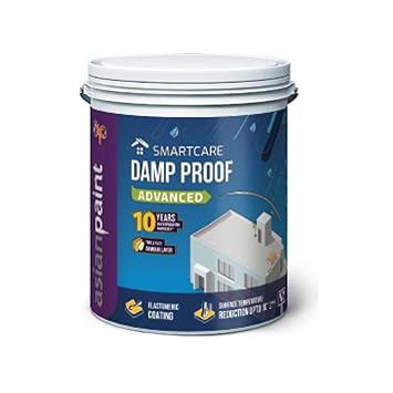 Asian Paint Damp Proof Advanced White - Waterproof Exterior Wall ...