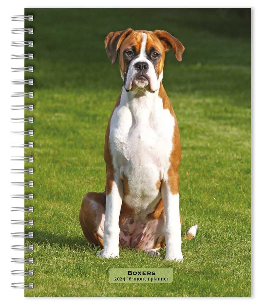 Boxers International Edition | 2024 6 x 7.75 Inch Spiral-Bound Wire-O ...
