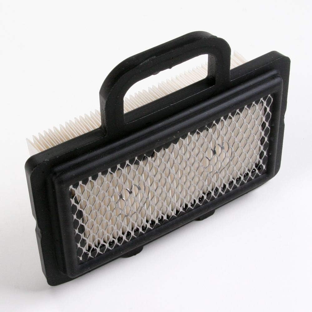 Amazon.com : Briggs & Stratton 792101 Lawn & Garden Equipment Engine ...