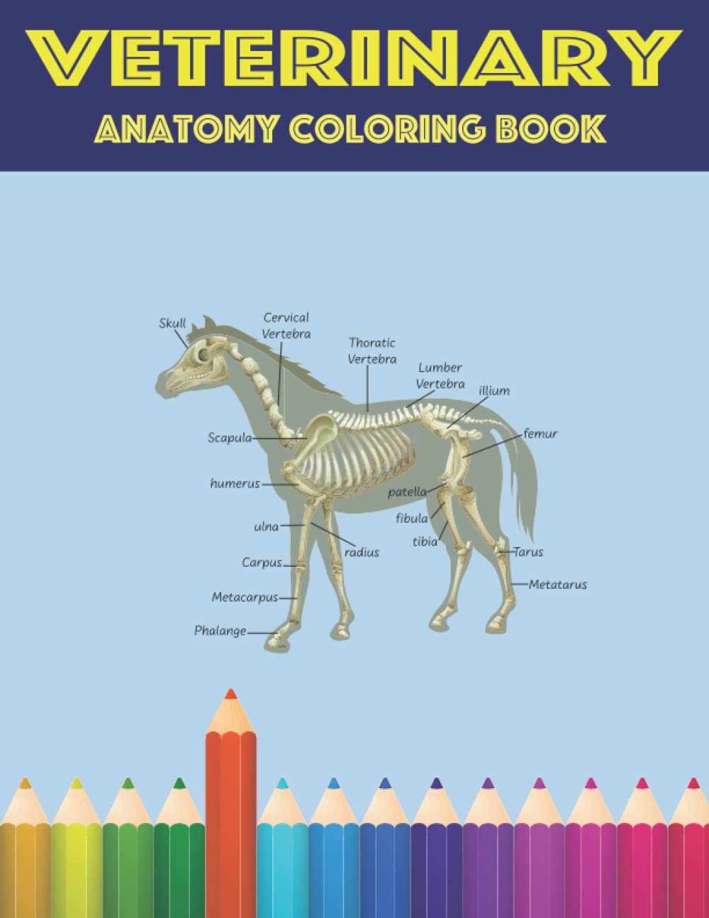 Buy veterinary anatomy coloring book: Animal Anatomy and Veterinary ...