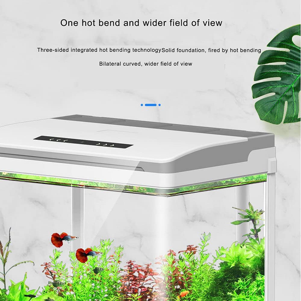 Goldfish Tank Betta Aquarium Tank, Small Betta Fish Tank, 4K HD Desk ...