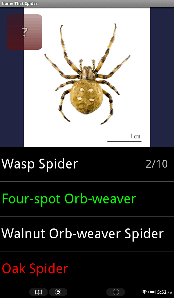 Spider Species Trivia Quiz - App on Amazon Appstore
