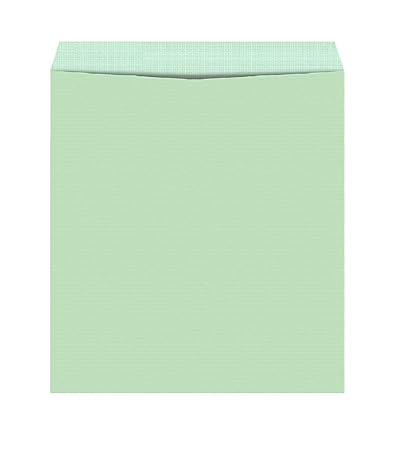 Cubic 12x10 Clothline Envelope (Green) – Pack of 50 | Durable & Eco ...