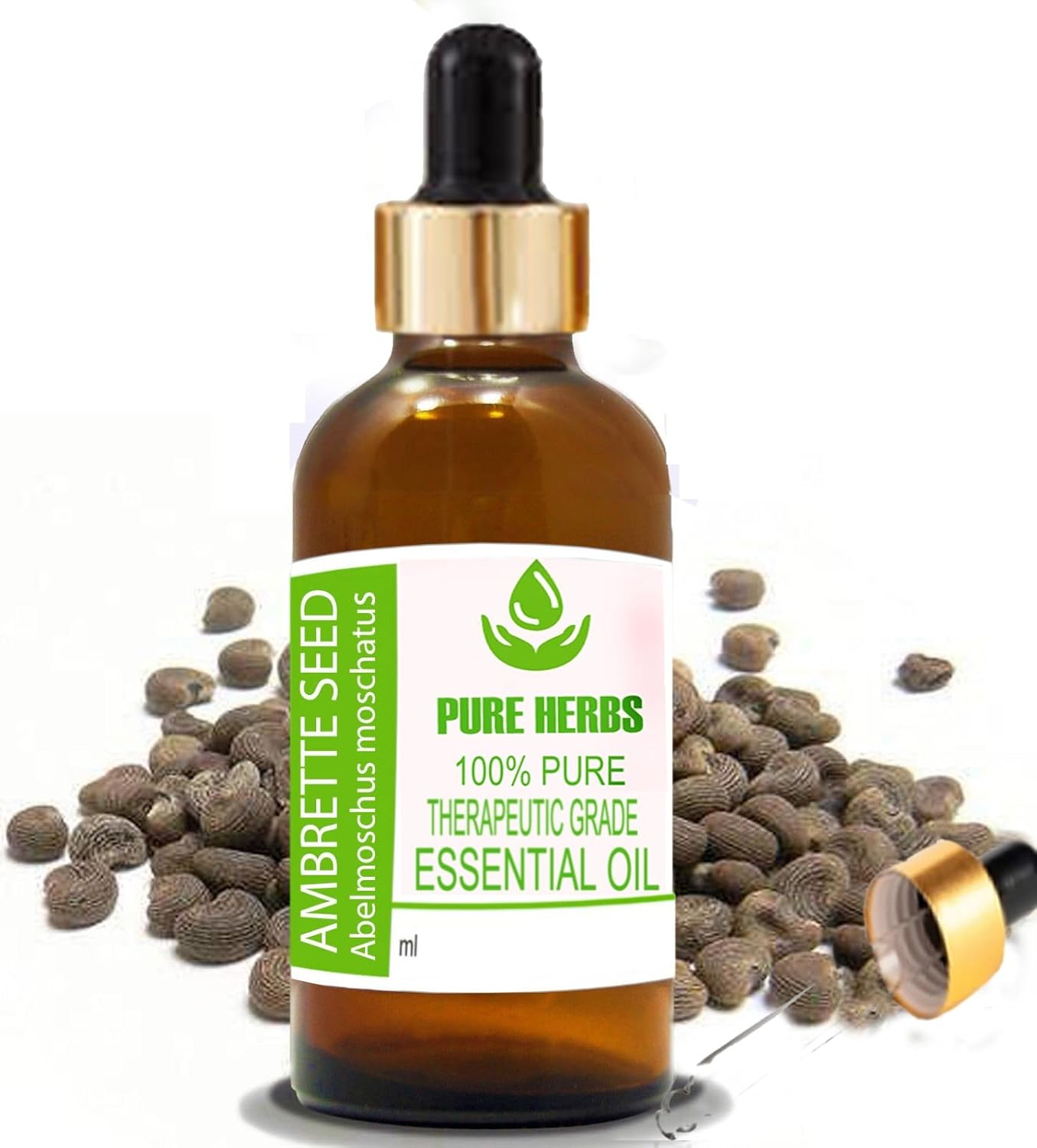 Amazon.com: Pure Herbs Ambrette Seed (Abelmoschus Moschatus) Pure ...