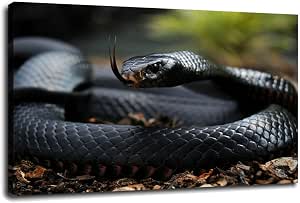 Amazon.com: BLACK SNAKE GLOSSY POSTER PICTURE PHOTO PRINT BANNER Africa ...