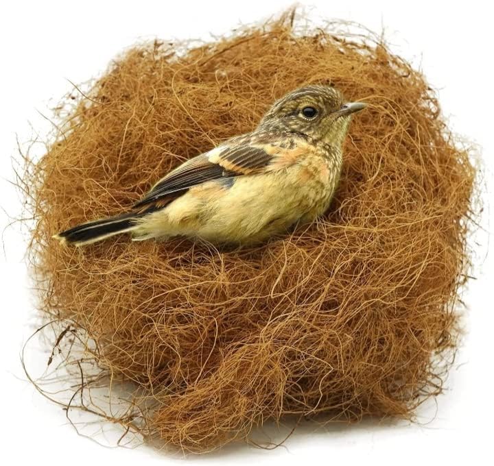 Manually Extracted Natural Coir Fiber Nesting Material for Birds for ...