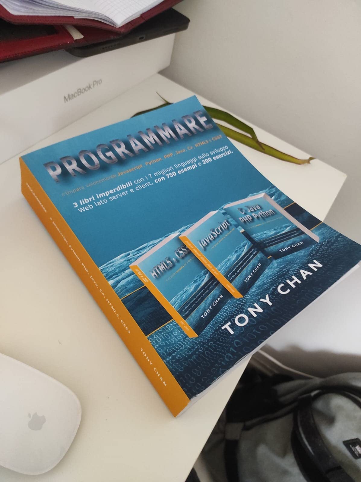 PROGRAMMARE, Impara velocemente Javascript, Python, PHP, Java, C#, HTML5 e CSS3: 3 libri ...