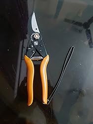 FALCON Garden Tools Pruning Secateur Major (Size 225mm, for ...