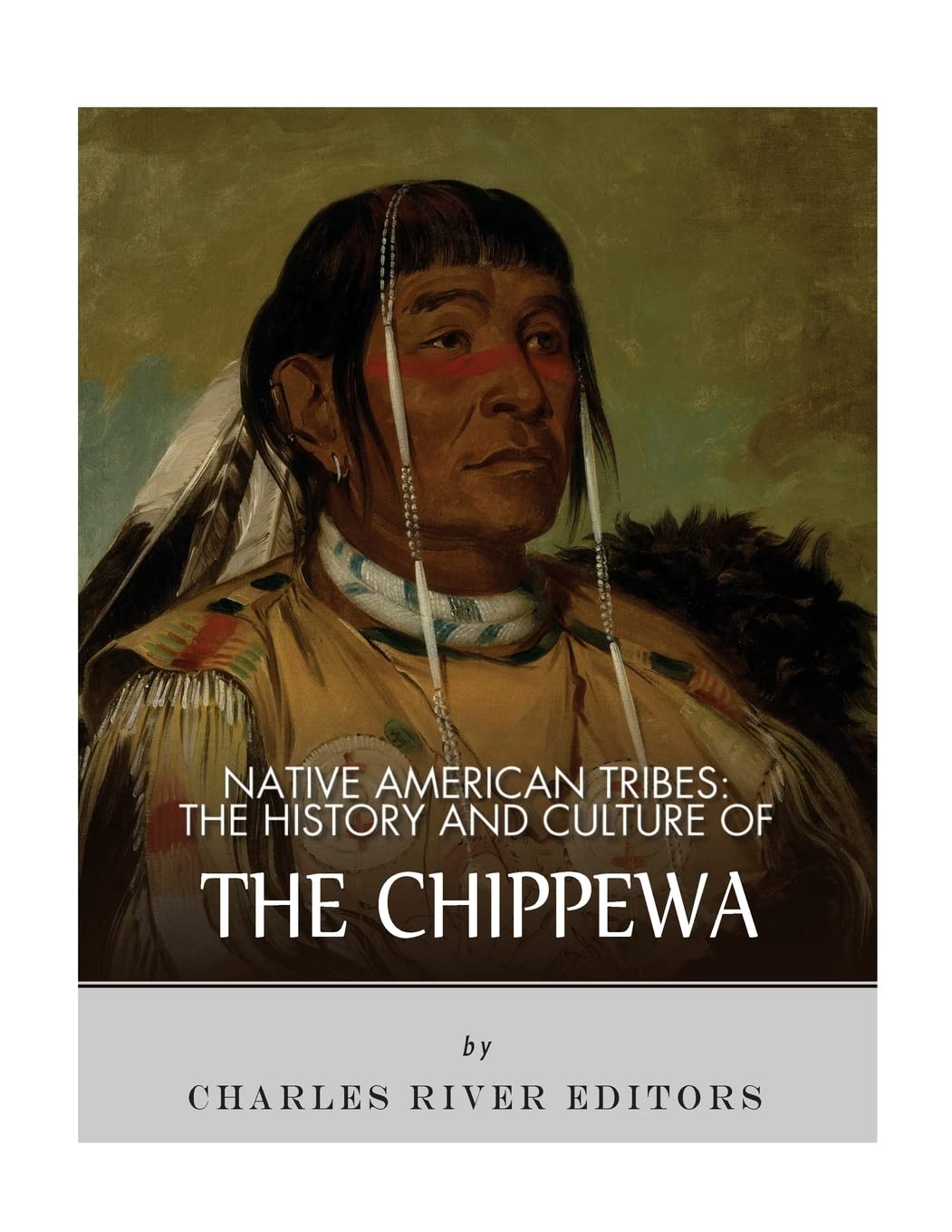 Native American Tribes: The History and Culture of the Chippewa ...