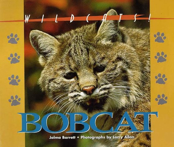 Wildcats of North America - Bobcat: Jalma Barrett: 9781567112573 ...