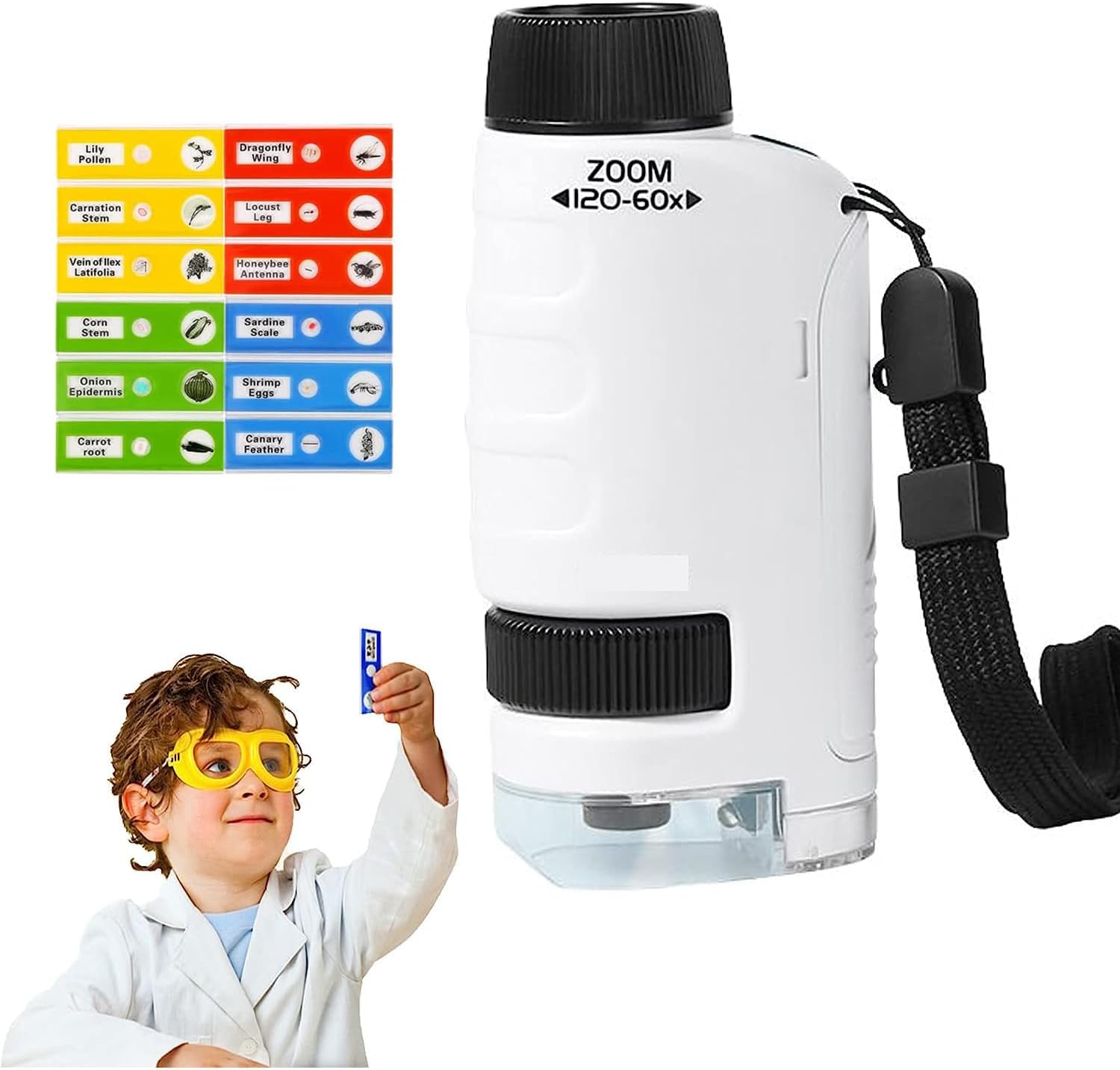 Carson MicroBrite Plus 60x-120x LED Lighted Pocket Microscope with ...