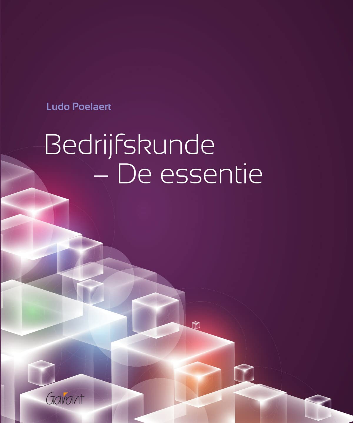 Bedrijfskunde: de essentie : Poelaert, Ludo: Amazon.com.be: Livres