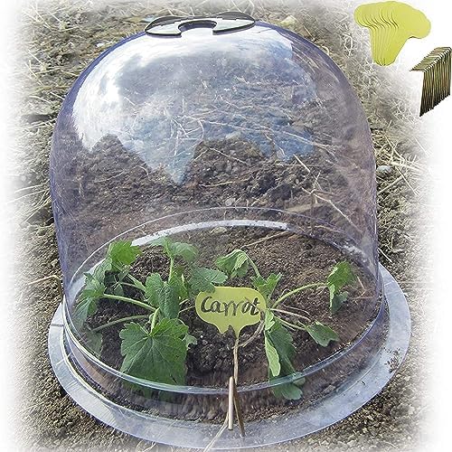 Amazon.com : 30 Pack Garden Cloche Plant Dome Cover,Thickened PVC ...