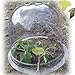 Amazon.com : 30 Pack Garden Cloche Plant Dome Cover,Thickened PVC ...