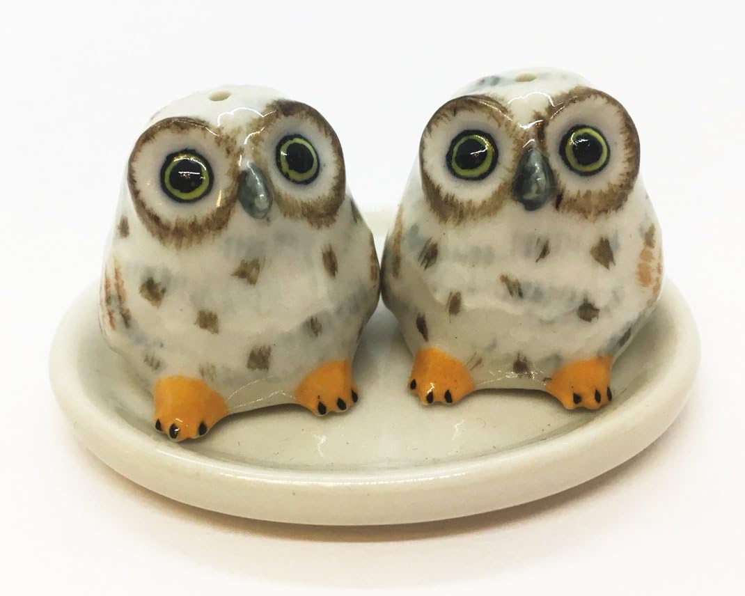 Amazon.com: WitnyStore Tiny 1" High White Owl Sitting 2 Pieces Set ...