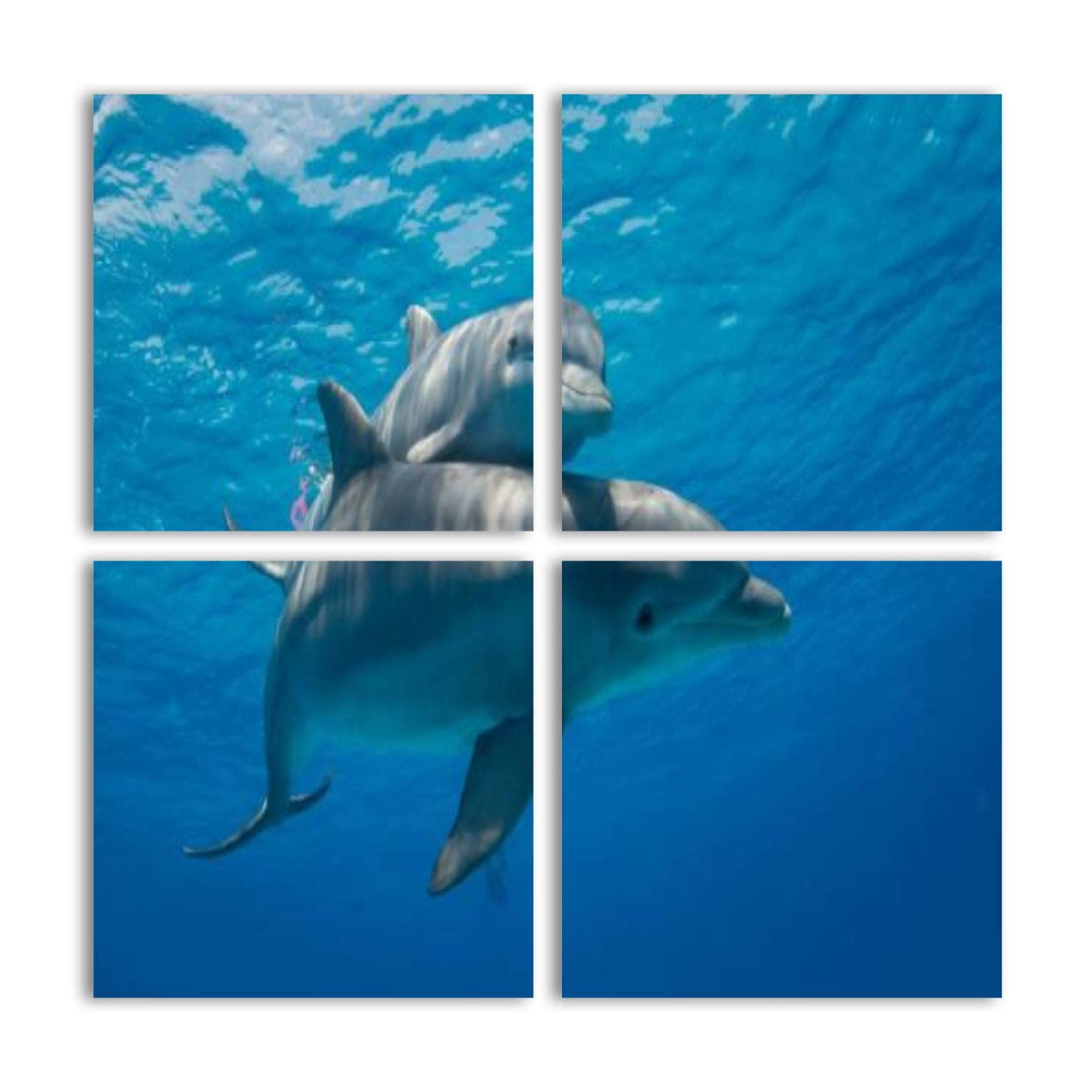 Dolphin Swimming Artwork