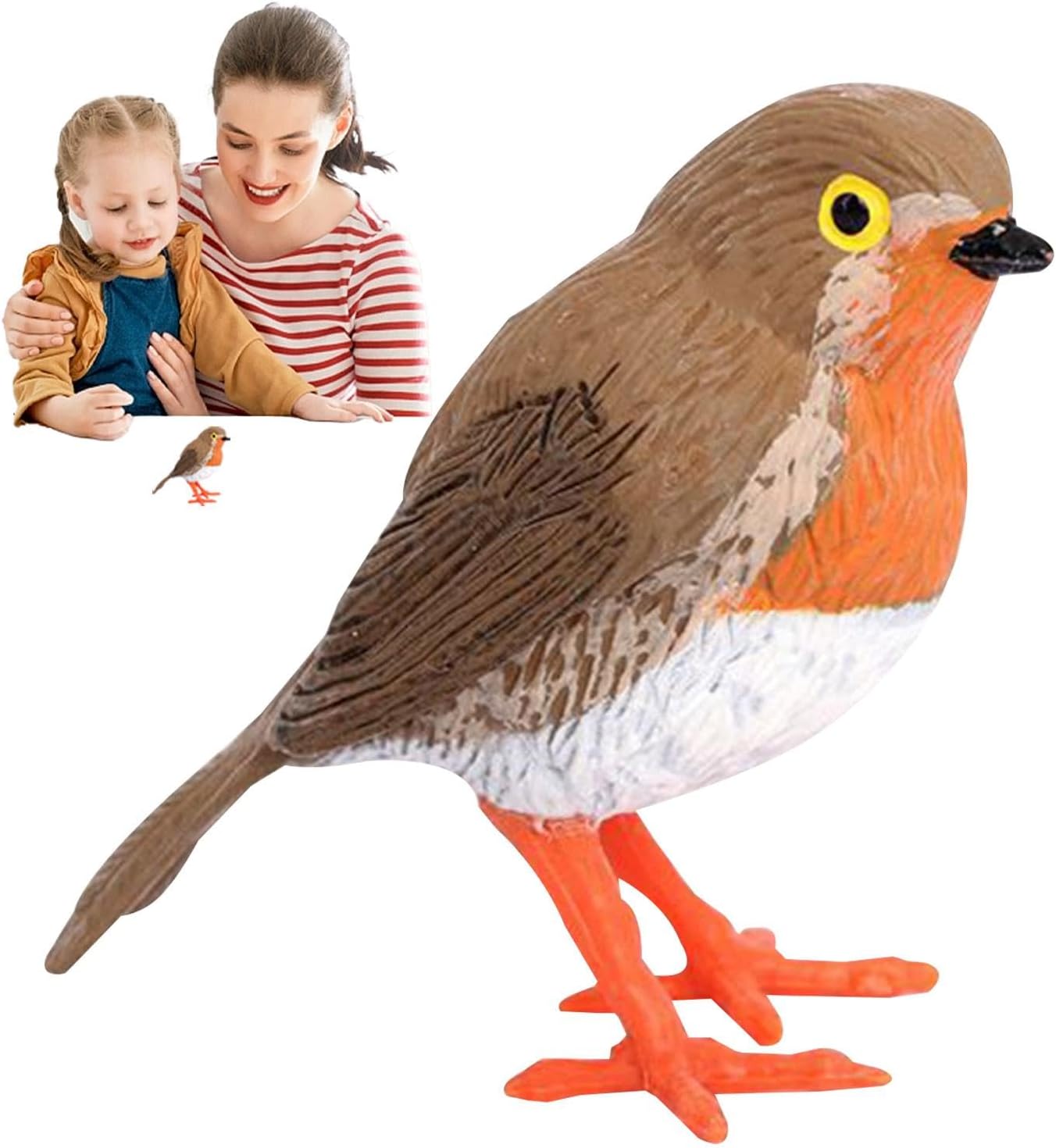 Miniature Birds Figurines,Realistic Bird Figurines Simulation Robin ...