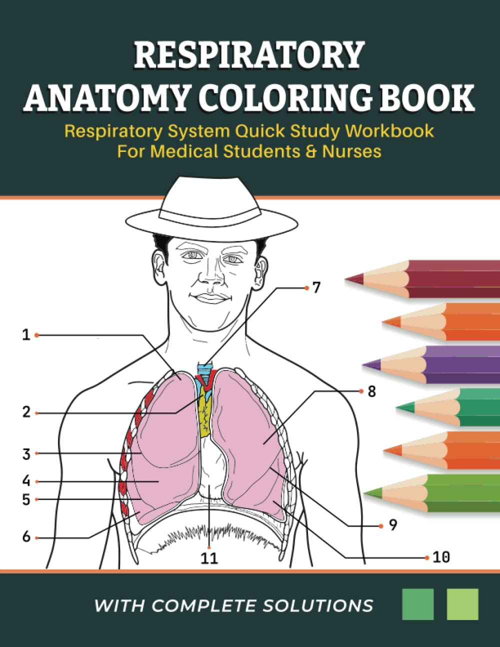Amazon.com: Respiratory Anatomy Coloring Book - Respiratory System ...