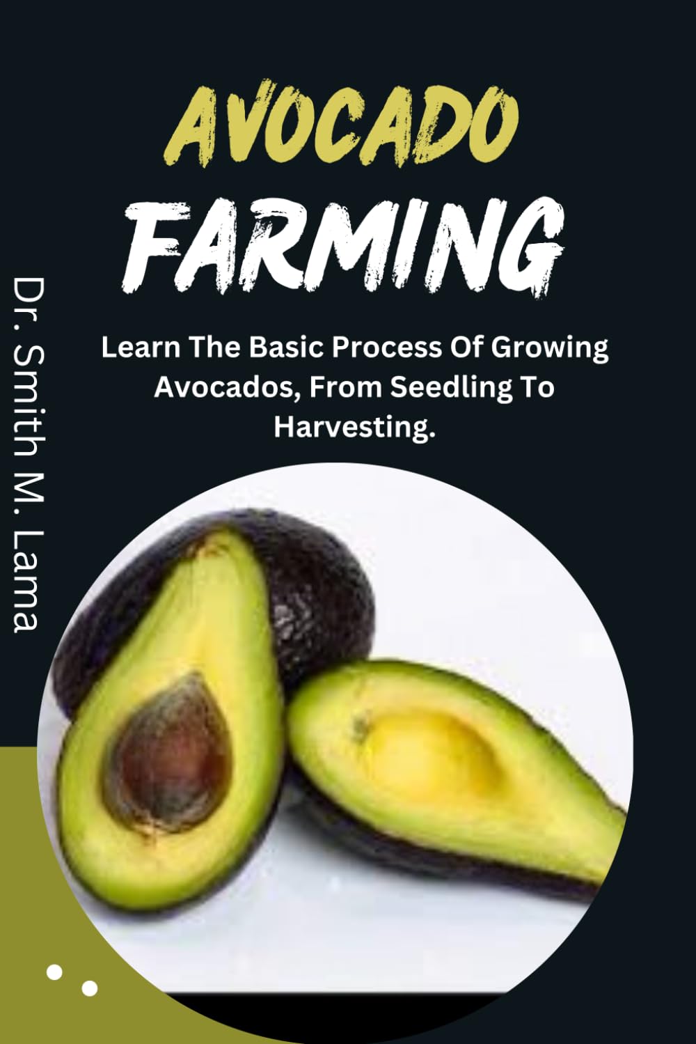 AVOCADO FARMING: Learn The Basic Process Of Growing Avocados, From ...