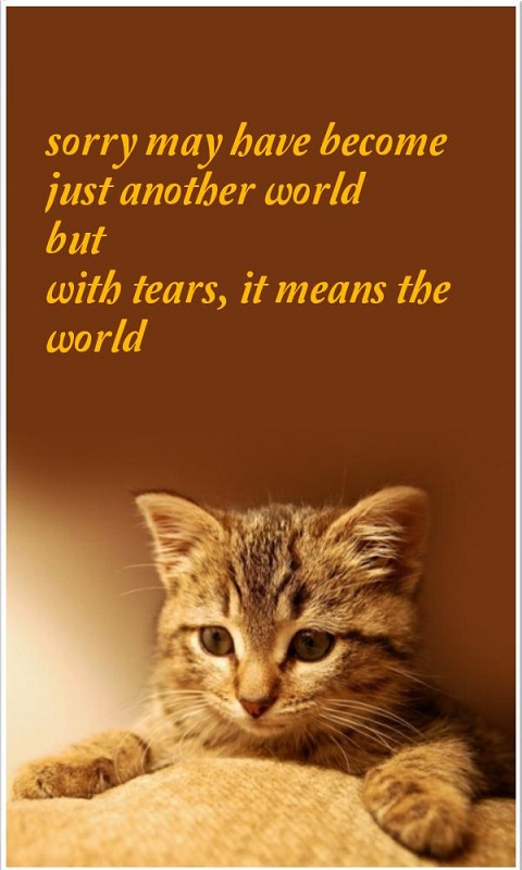 Apology Image Quotes 100+ Sorry Messages And Apology Quotes For Any