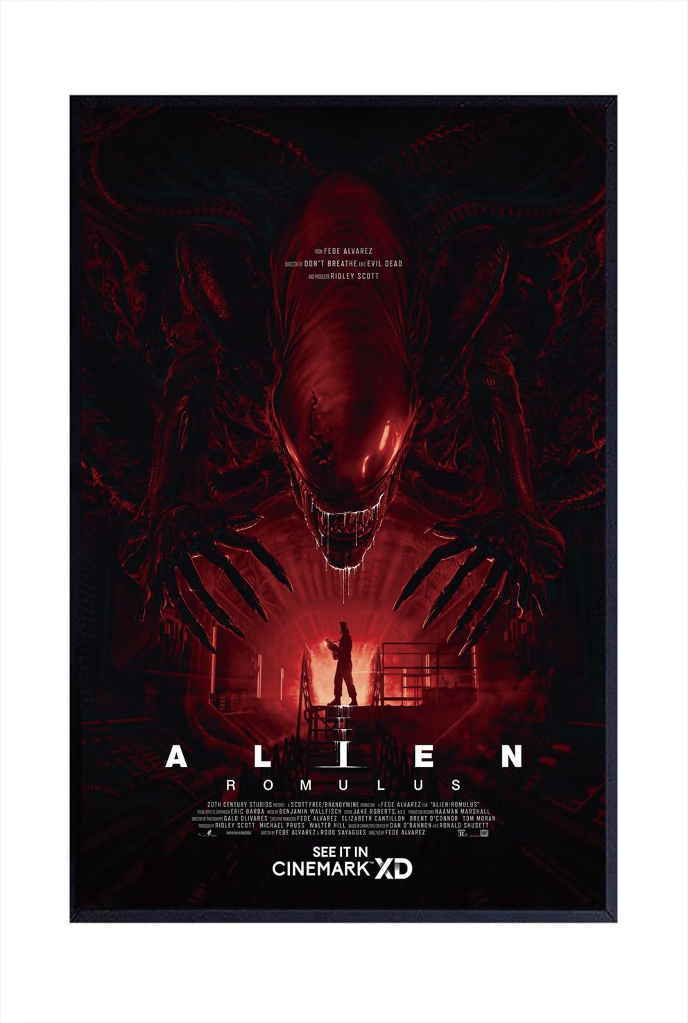 Amazon.com: Horror Alien Romulus Movie Poster #2 - Matte Poster ...