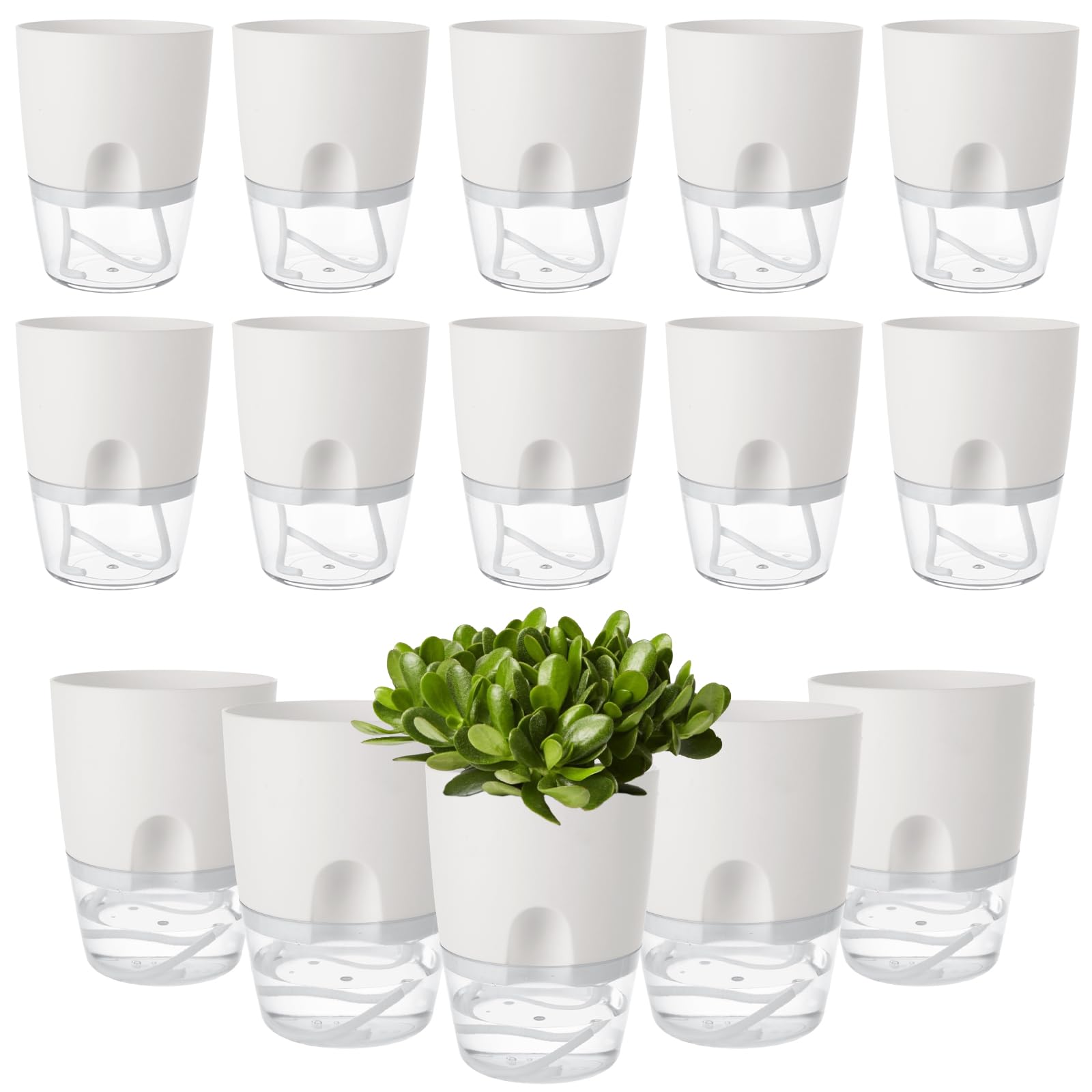 Amazon.com: LOPYXBR 15 PCS 4 Inch Self Watering Pots for Indoor Plants ...