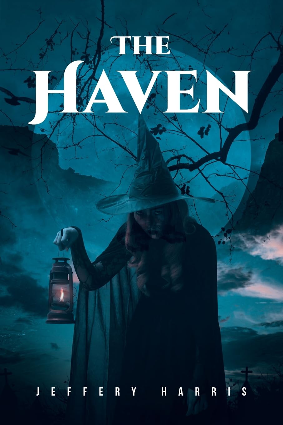 Amazon.com: The Haven: 9798889825074: Harris, Jeffery: Books