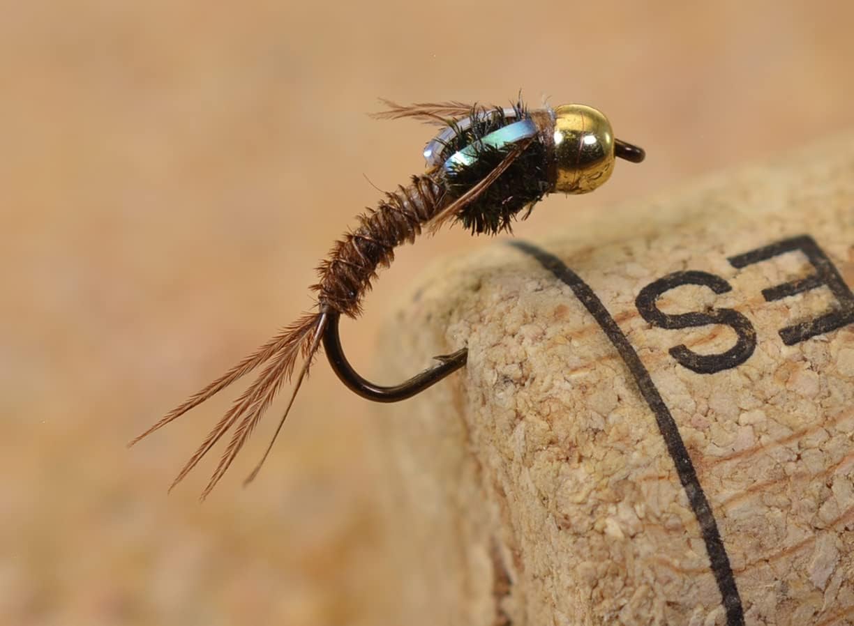 Amazon.com : Bead Head Quasimodo Pheasant Tail Mayfly Nymph Flies Tied ...