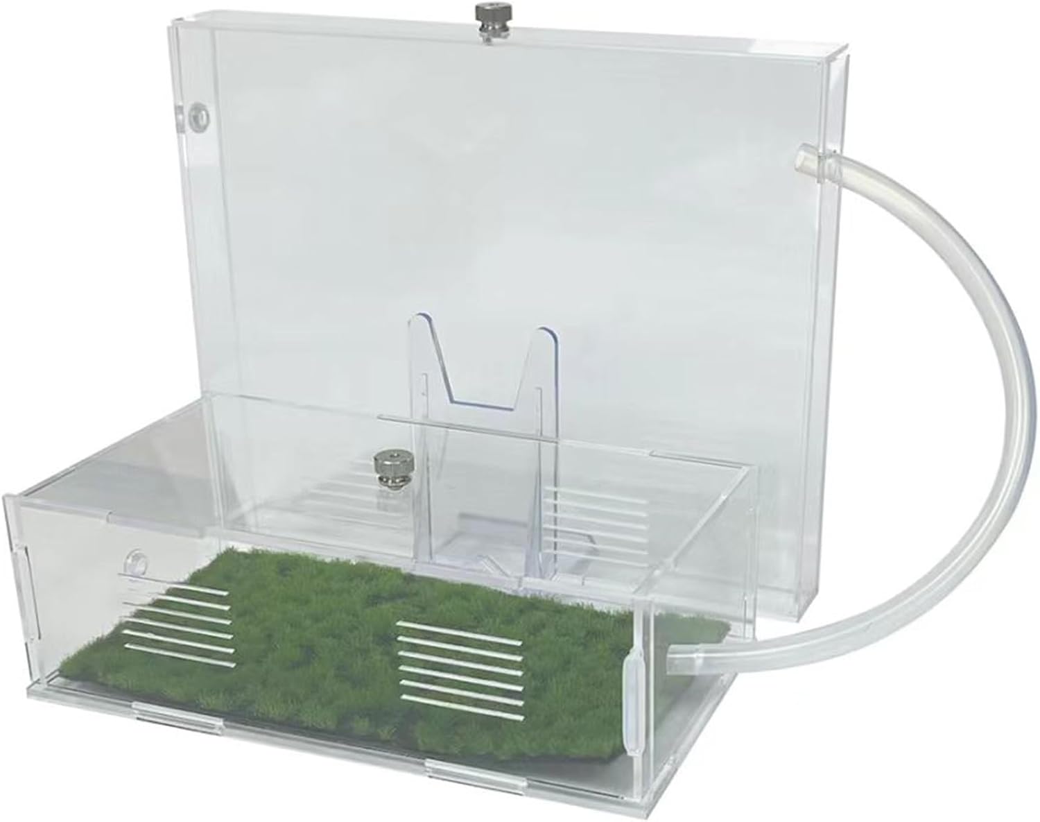 Amazon.com: Ants Footsteps Ant Farm Nest for Live Ants Acrylic Science ...
