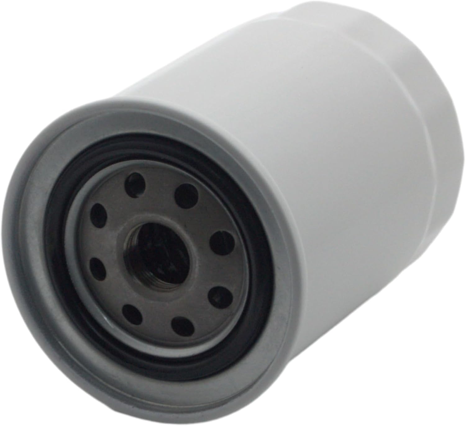 Amazon.com: BUYMACHINERYPARTS 16631-43560 Fuel Filter HH166-43560 ...