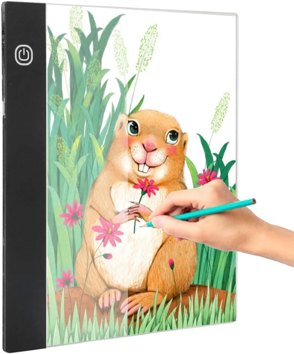 Amazon.com: LED Copy Board Light Tracing Box, Slim Adjustable USB Power ...