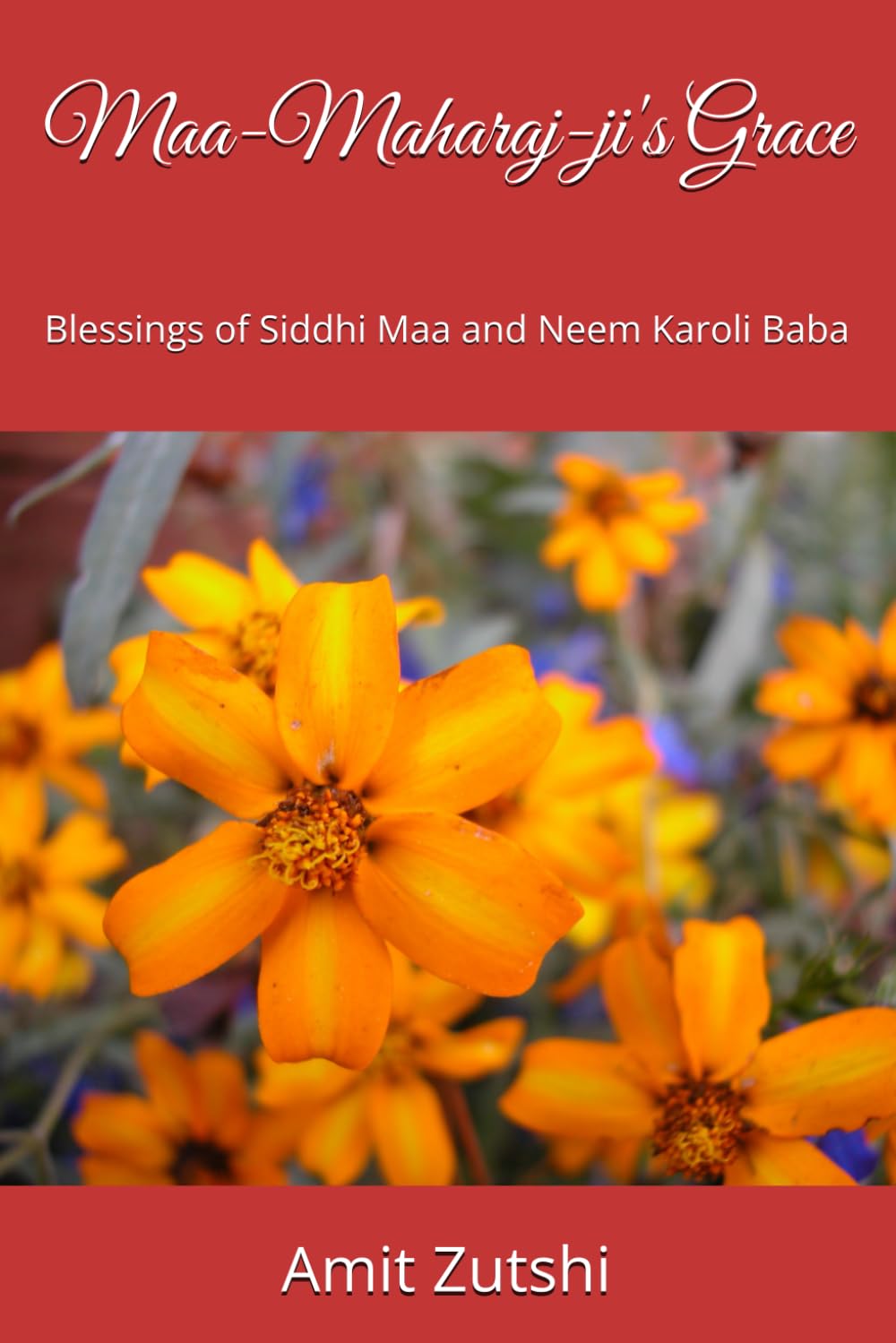 Amazon.com: Maa-Maharaj-ji's Grace: Blessings of Siddhi Maa and Neem ...
