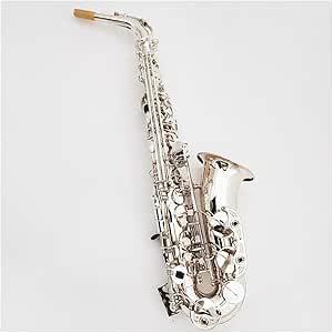 Amazon.com: Professional Saxophone Silver Professional Alto Saxophone E ...