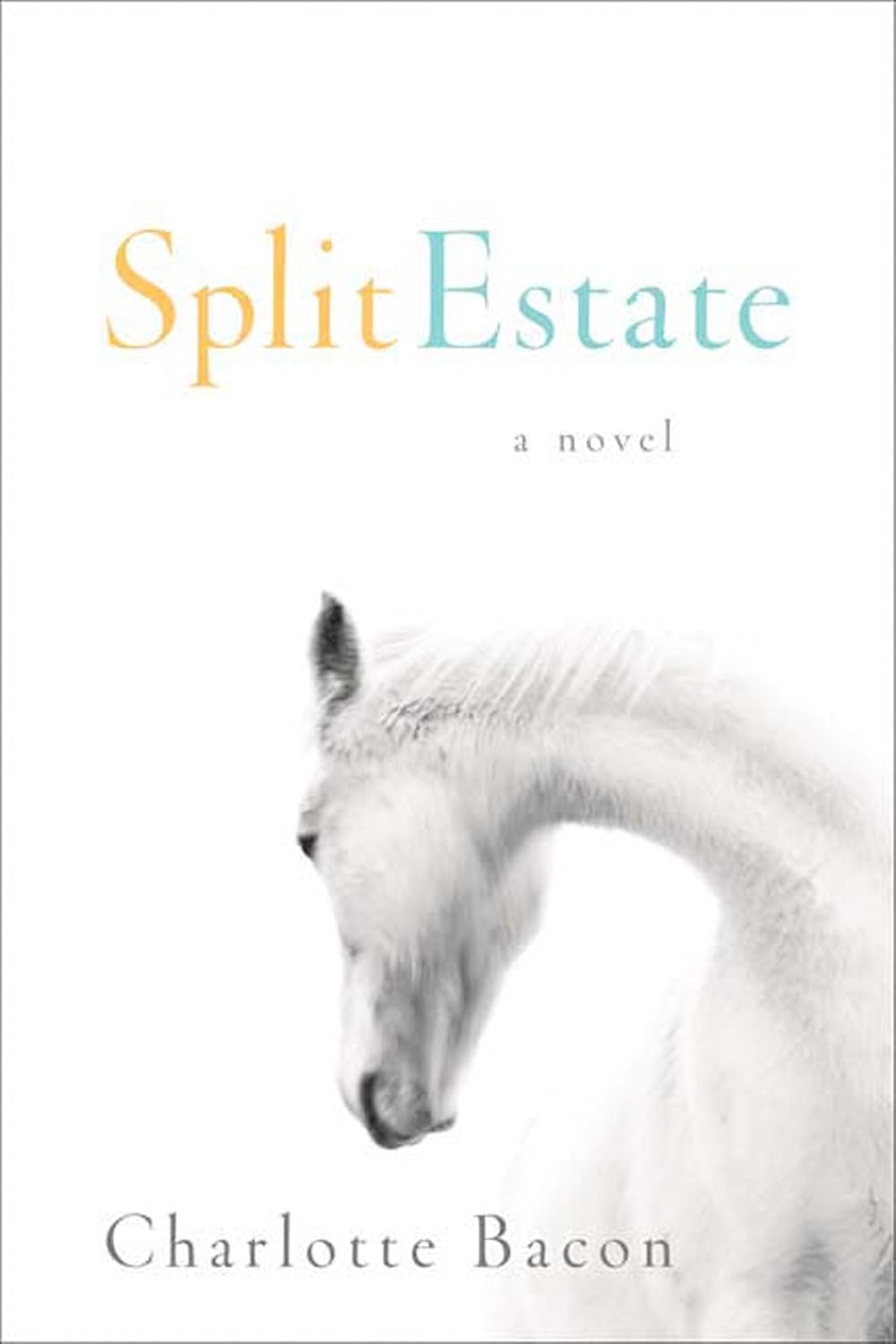 Split Estate: A Novel - Kindle edition by Bacon, Charlotte. Literature ...