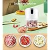 Amazon.com: Electric Stainless Steel Garlic Chopper with 3 chopping ...