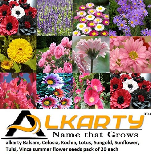 alkarty Balsam, Celosia, Kochia, Lotus, Sungold, Sunflower, Tulsi ...