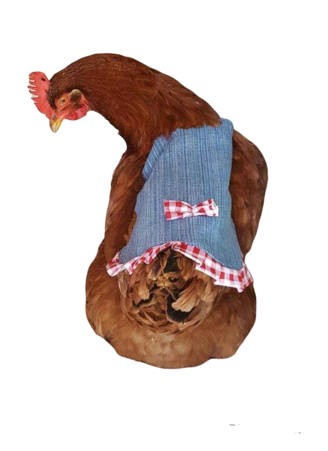 Amazon.com: Chicken Saddle Hen Apron : Home & Kitchen