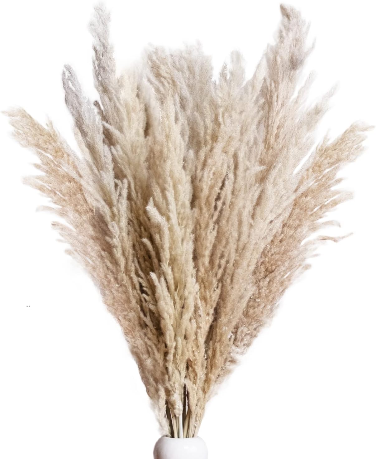 Amazon.com: Pampas Grass Decor Tall 45 Inches, 10 Stems of Tall Pampas ...