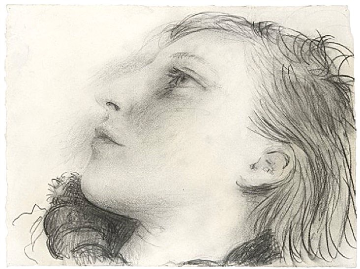 Picasso and the Art of Drawing - Lloyd, Christopher | 9780300234800 ...