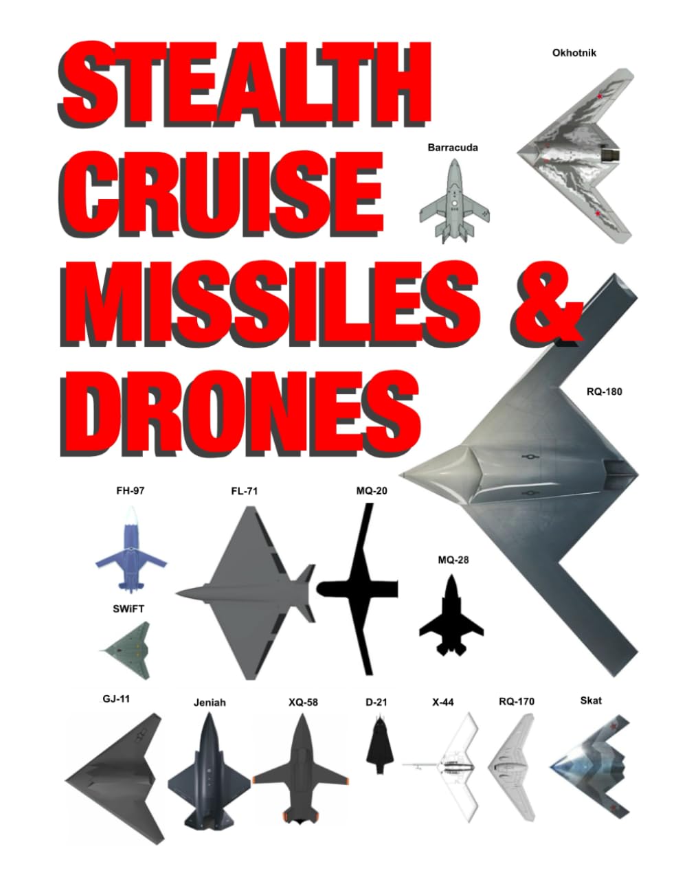 Stealth Cruise Missiles & Drones: Ayala, Luis: 9798325360664: Amazon ...