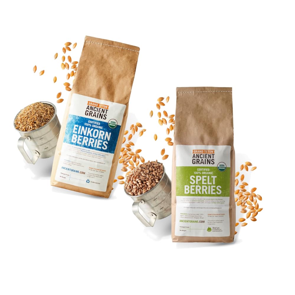 Amazon.com : Einkorn Berries and Spelt Berries Ancient Grains Emmer ...