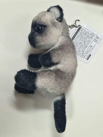 Amazon.co.jp: Cat Pinching Mascot BC Cat Plush Toy : Toys & Games