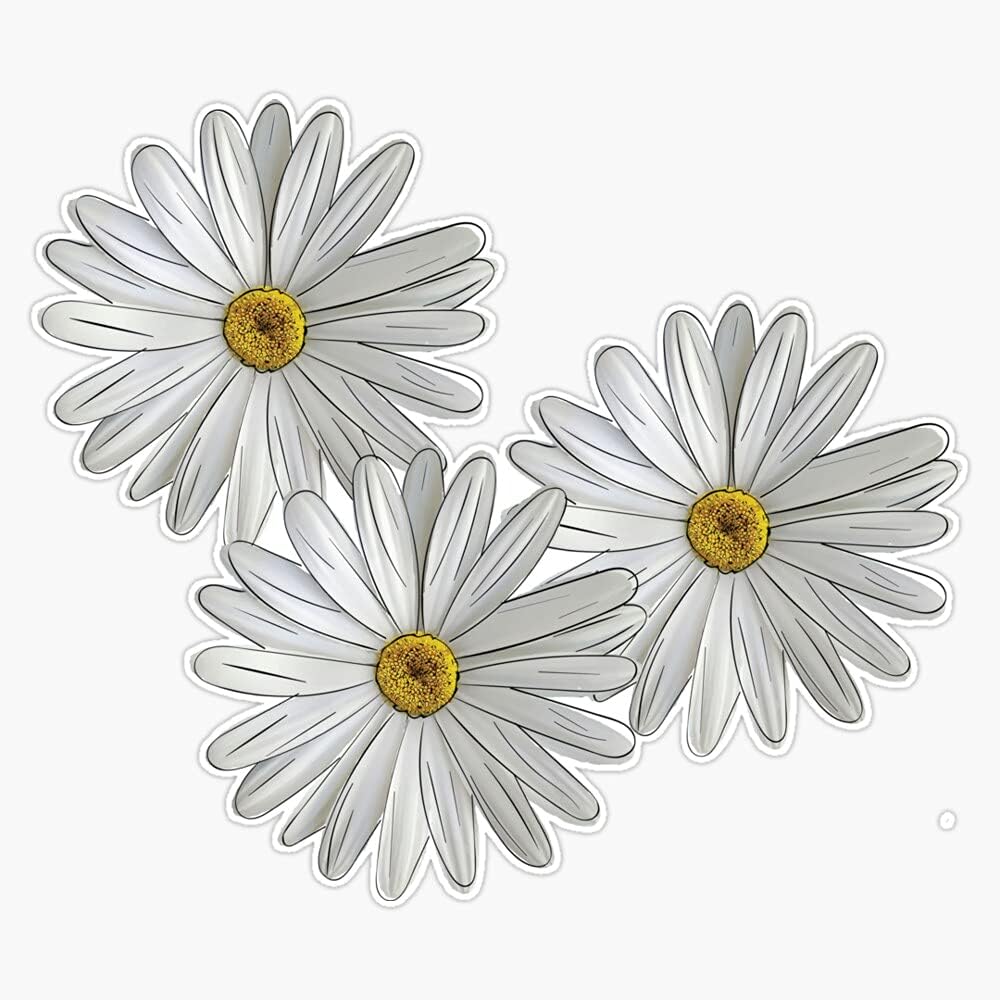 Amazon.com - Offbeat Stickers 3'' Daisy Love Script Flower White Baby ...