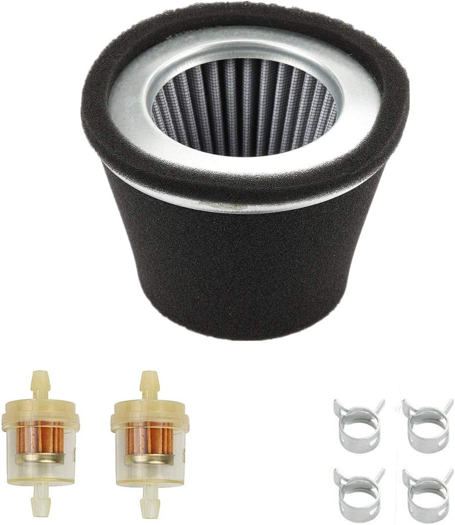 Amazon.com: Euros 2 Pack 234-32607-07 Air Filter for Subaru Robin ...