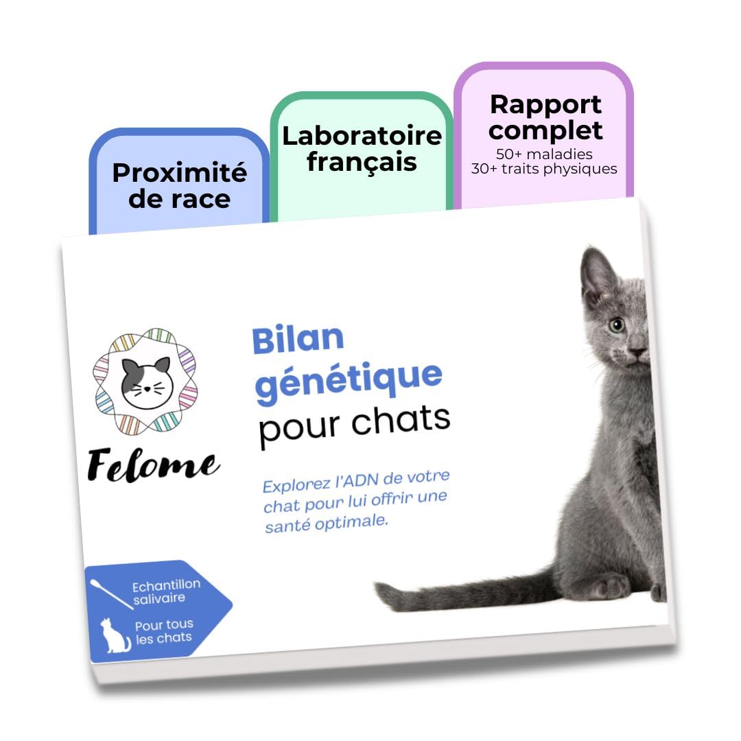 Felome Genetic Assessment for Cat DNA Test for 56 Genetic Diseases and ...