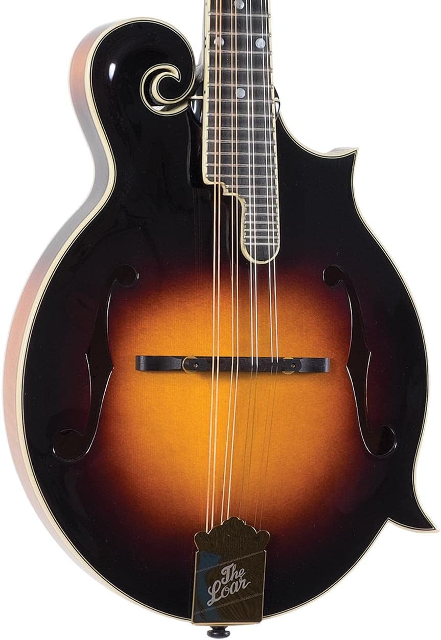 Amazon.com: The Loar LM-700-VS Supreme F-Style Mandolin : Musical ...